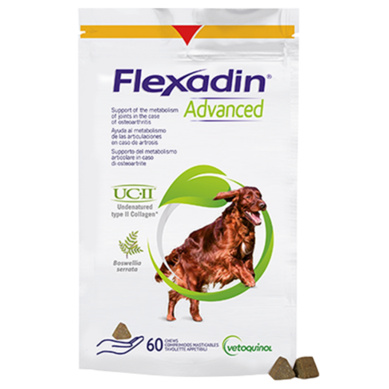 Flexadin Plus Maxi · Flexadin
